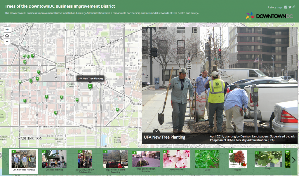 DowntownDC | BID Trees Story Map Receives Award | DowntownDC