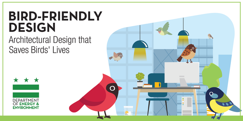 DowntownDC | Bird-Friendly Design in DC | DowntownDC