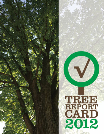 Report Card on DC Trees - Downtown DC
