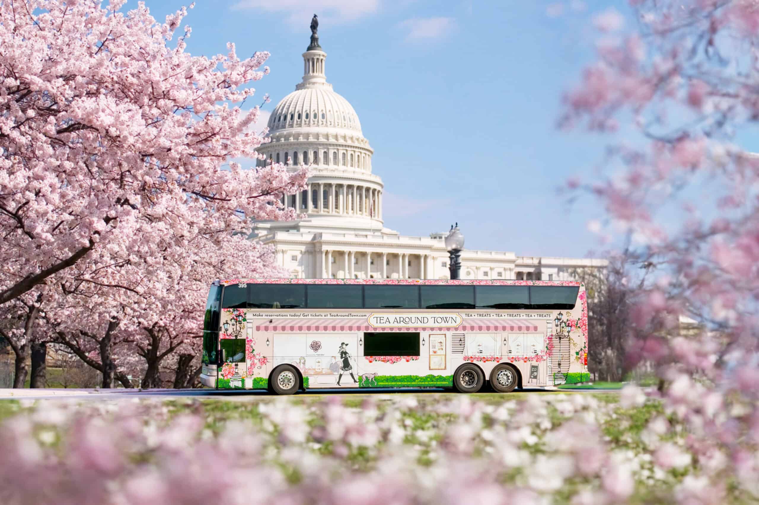 Tea Around Town DC: Cherry Blossom Tour - March 1, 2025 - Downtown DC